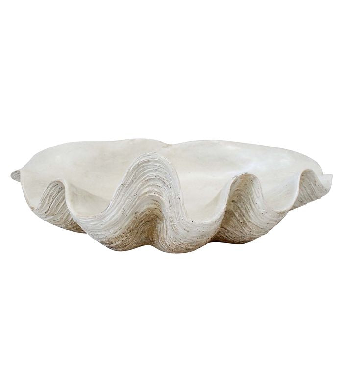 🏖️ Bring the beach to your home with our Decorative Clam Shell! Coastal ...