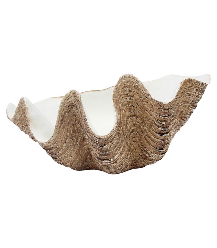 Discover Coastal Charm 🐚 Large 38cm Decorative Clam Shell 🏖️ | Alley ...
